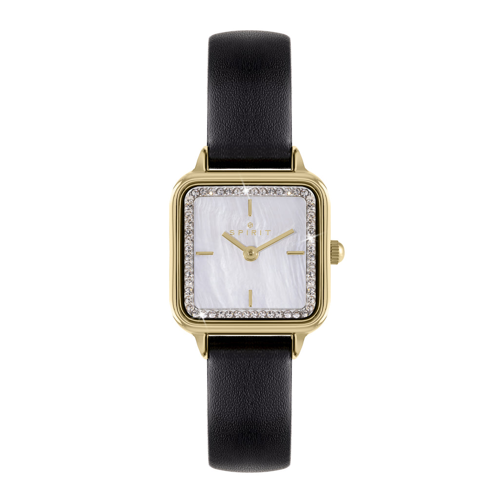 SP2012 – Spirit Watches